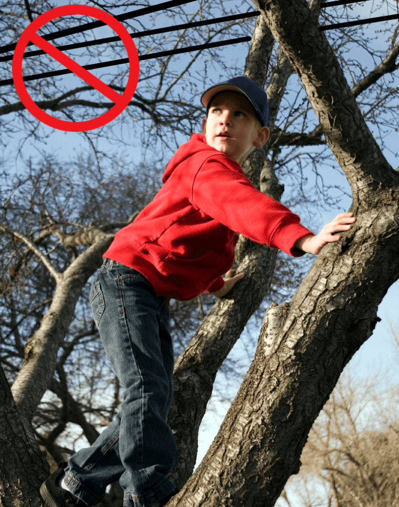 66441 Tree & Power Line Safety – Xcel e-SMARTkids